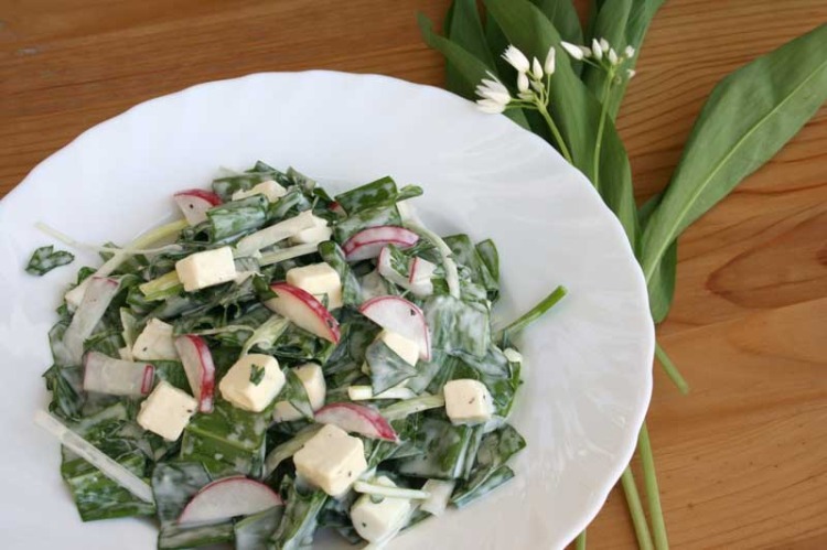 Romanian Recipes: Spring Salad with Wild Garlic