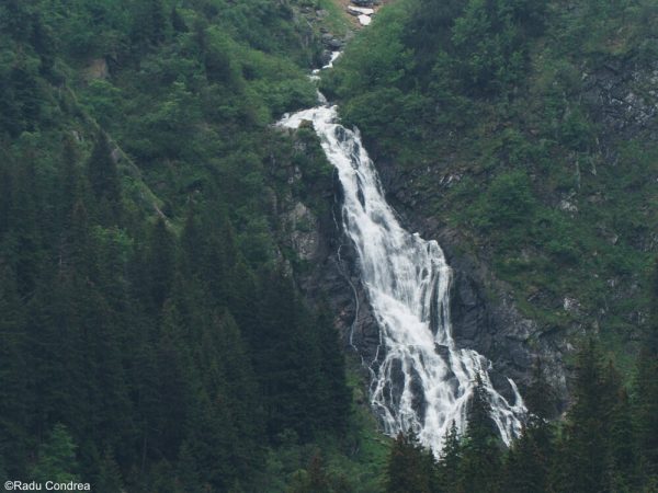 Nine Scenic Waterfalls in Romania You Should See
