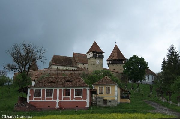 The Village of Alma Vii: Traditions Come Back to Life