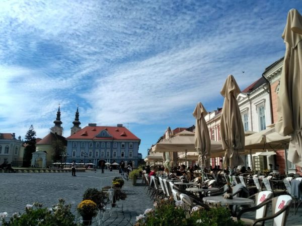 Top 10 Things to Do in Timisoara for the First Time Visitor